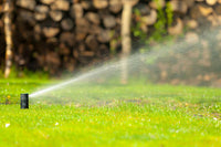 When Stop Watering Grass