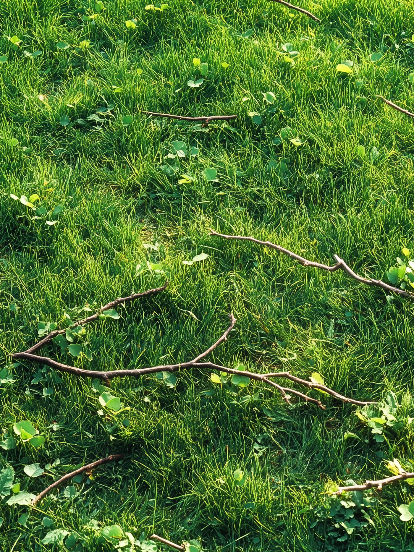 Sweeper Kit for YUKA Series Robot Mover | Mammotion US